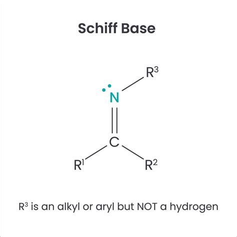Schiff Base Biochemistry Functional Group Science Vector Infographic 20561314 Vector Art At Vecteezy