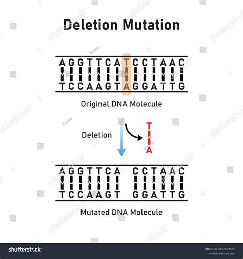 Deletion Mutation Scientific Design Vector Illustration Stock Vector Royalty Free 2410587563