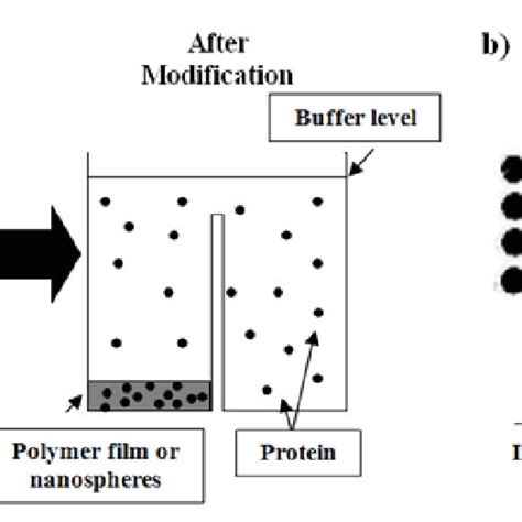2 Schematic Describing The High Throughput Methodology For Studying Download Scientific