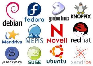 Linux操作系统及指令详细介绍Linux历史发行版和应用场景介绍