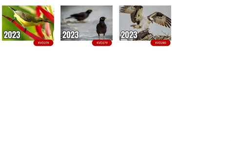 Купить НАСТЕННЫЙ КАЛЕНДАРЬ 2023 Много дизайнов Различные ПТИЦЫ отзывы фото и характеристики на