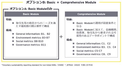 Vsmeの概要と“ポストオムニバス”におけるeu子会社のcsrd対応オプション Ey Japan