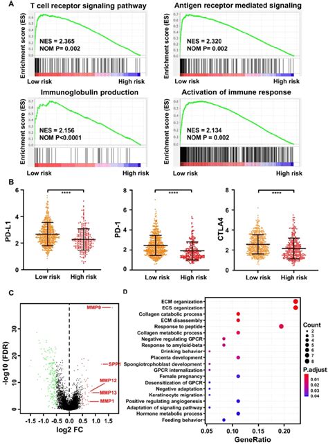 Bioinformatics Analysis Of The Characteristics And Signaling Pathways Download Scientific