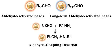 High Sensitivity Detection With Europium Terbium And Ruthenium