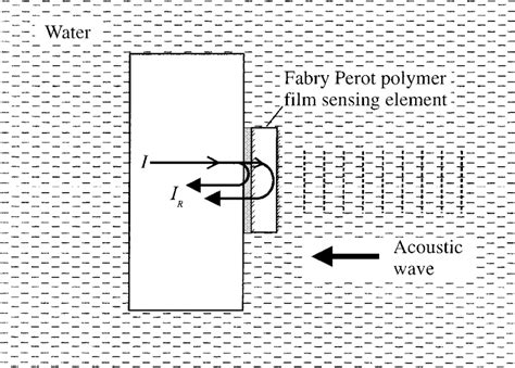 Schematic Of Sensing Configuration Download Scientific Diagram