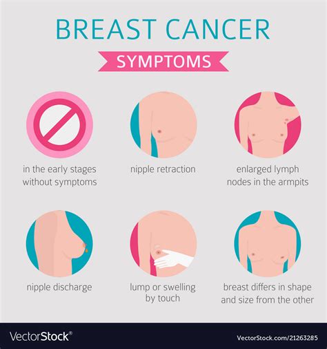 Breast Cancer Medical Infographic Diagnostics Vector Image