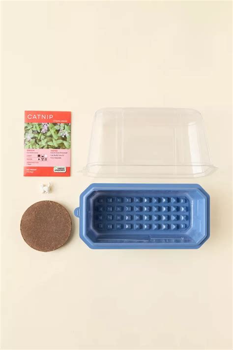 Crazy Cat Plant Ultimate Catnip Growing Kit Urban Outfitters