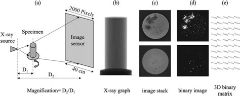 Computed Tomography Scan Data Acquisition And Processing A Schematic Download Scientific