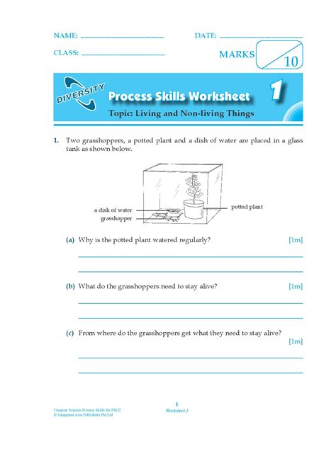 Science Process Skills Worksheets Process Skills For Science Worksheet