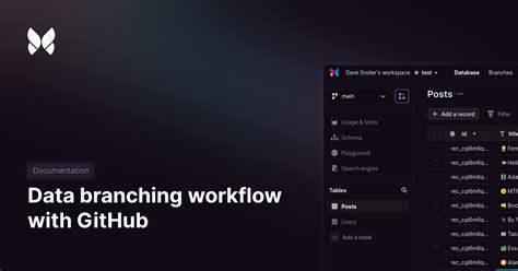 Data Branching Workflow With Github