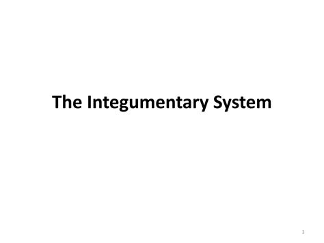 03 Integumentary Systempart 1pptx