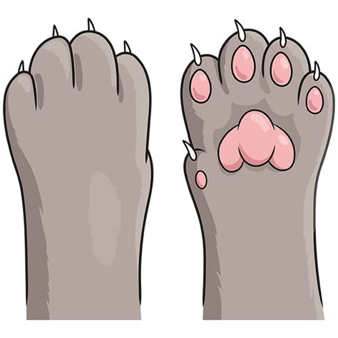 Steps To Draw A Cat Paw
