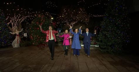 The Weather Garden Comes To Light On The First Day Of Judes Jingle