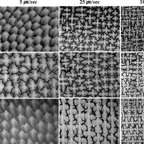 Pdf Prediction Of Primary Dendrite Arm Spacing With Solidification Velocity And Temperature