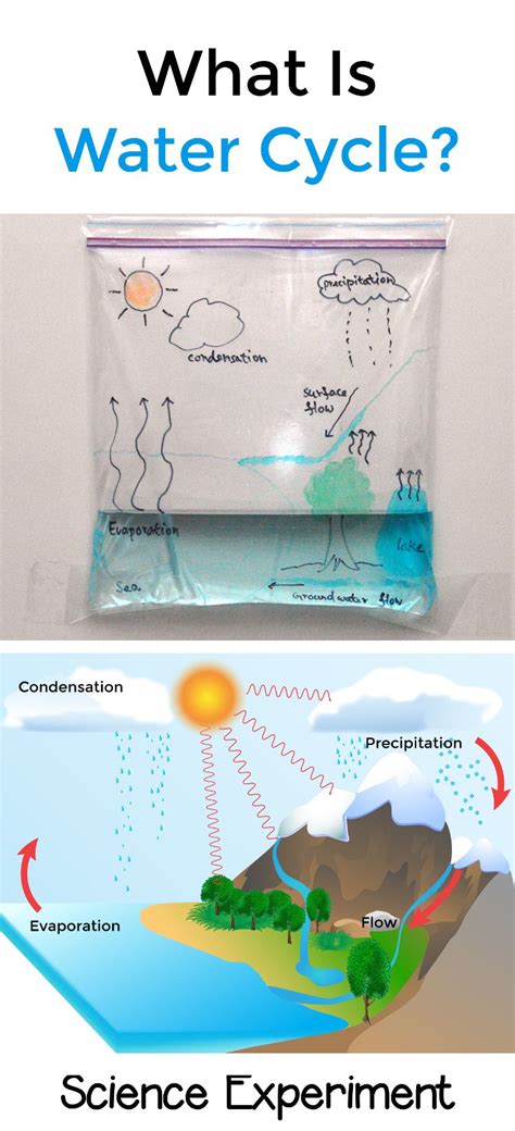 Water Cycle Science Experiment
