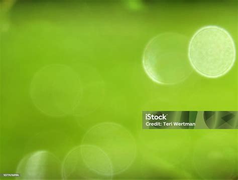 와 같은 다양 한 배경 용암 바위 벽에 이끼 풀 잎에이 슬 방울 이끼 가까이의 클로즈업을 석양 모래 잎 잔디 W 아침 빛 화산 암 모스 벽 비 자동차 창에 드랍 스와 화산