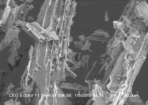 SEM Micrograph Of BA Download Scientific Diagram