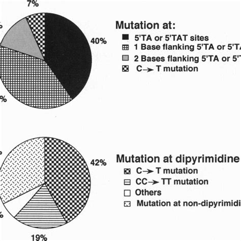 Correlation Between Frequency Of P53 Mutation And Number Of Dna