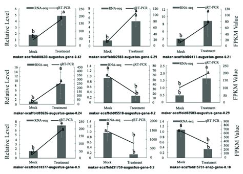qrt pcr validations of rna seq data relative expression was determined