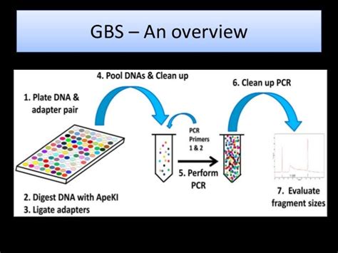Genotyping By Sequencing