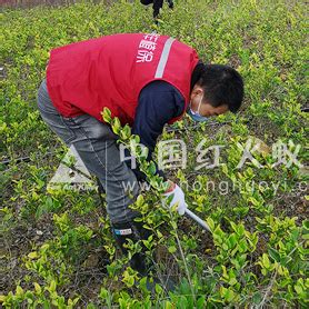 广州瑞丰生物科技有限公司