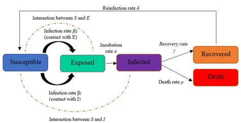 Schematic Diagram Of Disease Progression Download Scientific Diagram