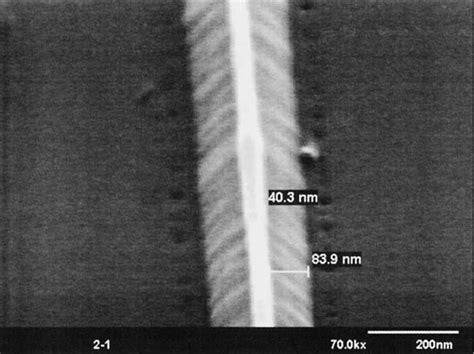 Scanning Electron Microscopy Sem Picture Of The Self Aligned Download Scientific Diagram