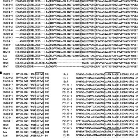 Sequence Alignment Of The N Terminal And C Terminal Domains Of All