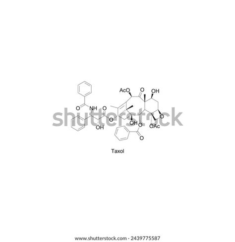 Taxol Skeletal Structure Diagramditerpenoid Compound Molecule Stock Vector Royalty Free