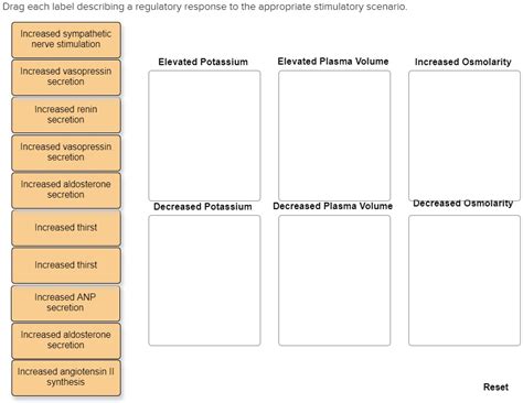 drag each label describing a regulatory response to the appropriate