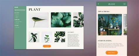 Create Scroll Groups In Adobe Xd Adobe Xd Adobe Scroll
