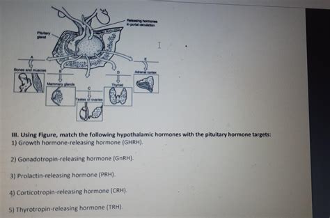 Solved Using Figure Match The Following 1 Produces The