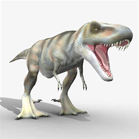 T Rex Skeleton 3d Model 29 3ds C4d Fbx Obj Stl Free3d