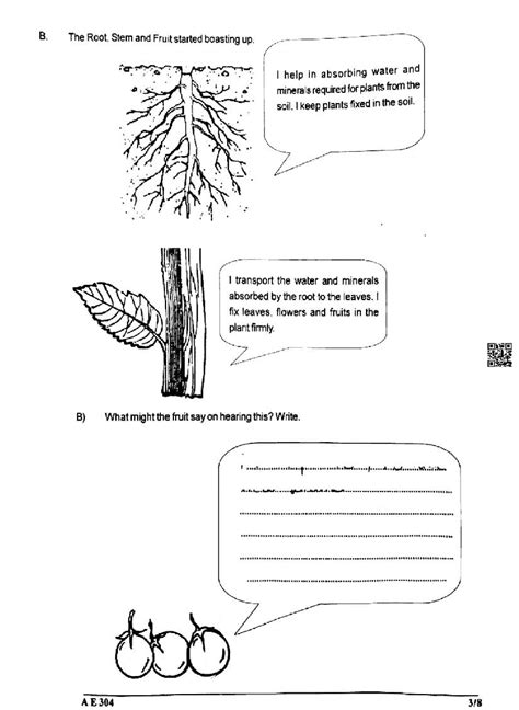 Class 3 Evs Onam Exam Question Paper 2024 25 Kerala Std 3 First Term