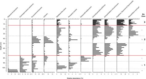 Biostratigraphy Fossil Diatoms Of A Sediment Core Collected In Gull