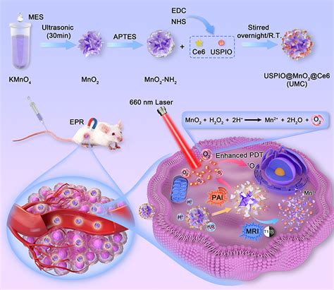 Tumor Microenvironment Responsive Ijn