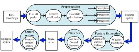 Block Diagram Of The Proposed Multi Stage Automatic Spike Detection System Download Scientific