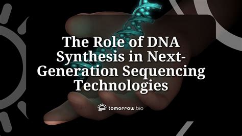 Unlocking The Mysteries The Crucial Role Of Complementary Dna Strands