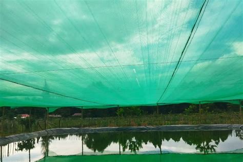 Choosing The Right Shade Net A Comprehensive Guide Shade Nets