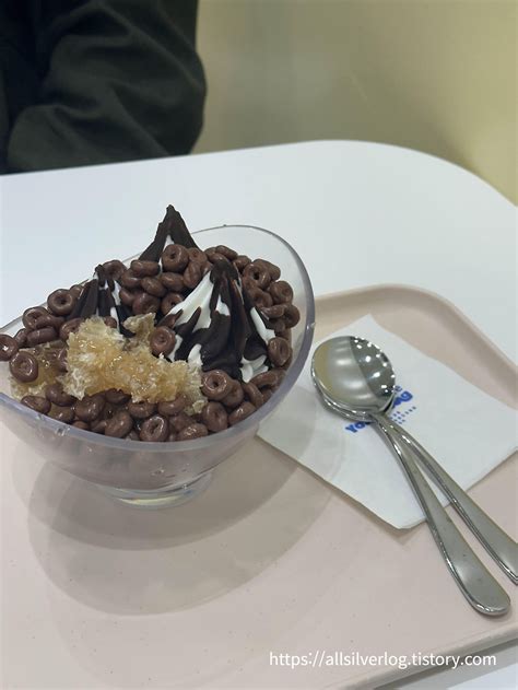 경기 시흥 요아정 요거트 아이스크림 정석