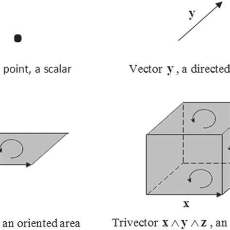The Geometric Interpretation Of The Eulers Formula Download Scientific Diagram