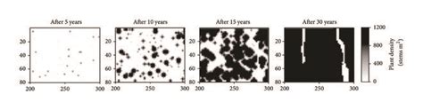 Example Outputs Of A Dynamic Ecological Model At Different Time Stamps