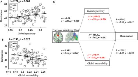 Dynamic Functional Connectivity Mediated The Association Between Download Scientific Diagram