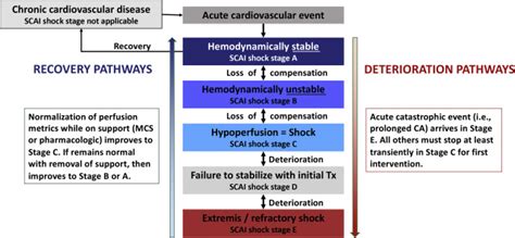 Scai Shock Stage Classification Expert Consensus Update A Review And