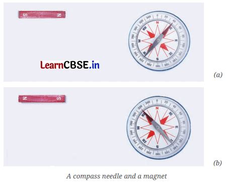 Exploring Magnets Class Notes Science Chapter Learn CBSE
