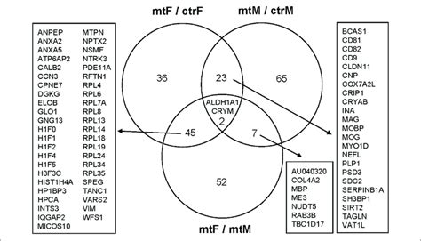 Overlapping And Non Overlapping Changes In Protein Expression In The Download Scientific