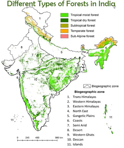 Different Types Of Forests In India India World Map India Map