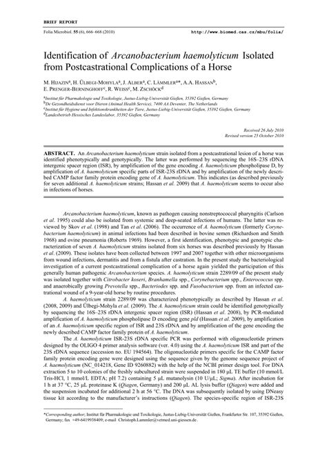 Pdf Identification Of Arcanobacterium Haemolyticum Isolated From Postcastrational