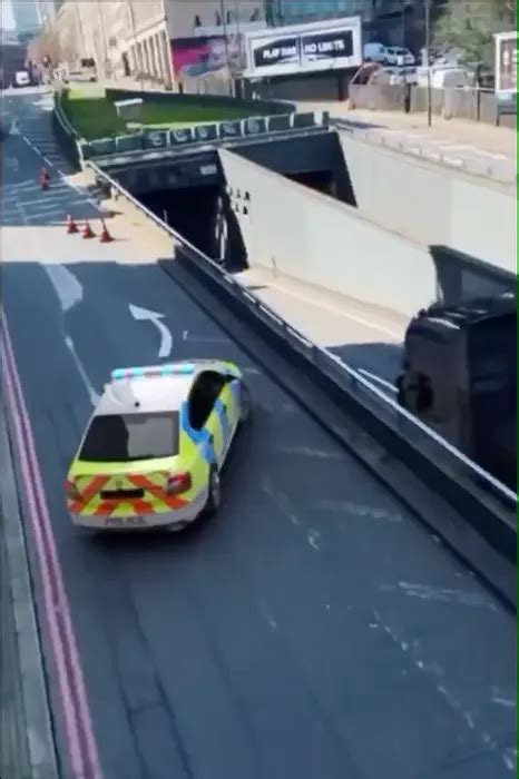 Everglades Piñata Farms The Best Meme Generator And Meme Maker For