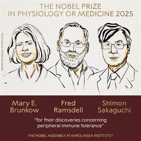 🧬 Understanding Immune Tolerance The Central Role Of T Cells And